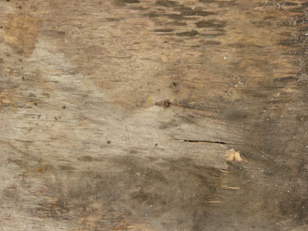 stained brown wood texture 0014 - Texturelib